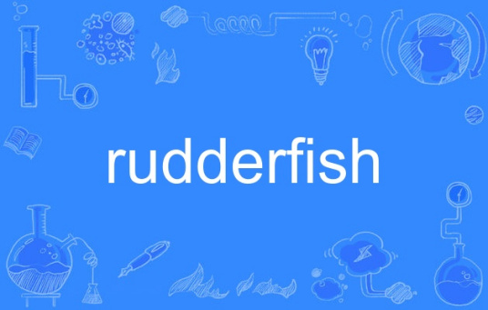 rudderfish_百度百科