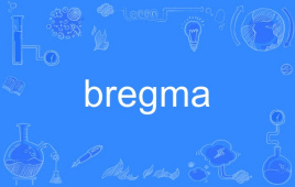 bregma_百度百科