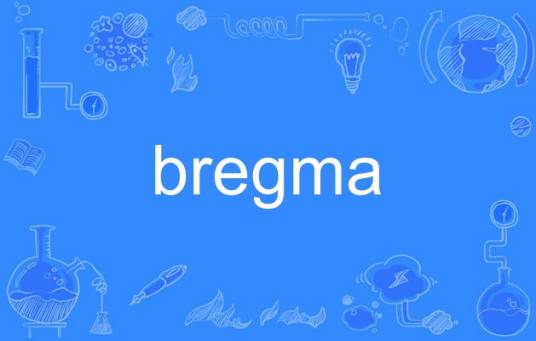 bregma_百度百科