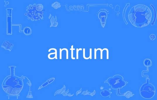 antrum_百度百科