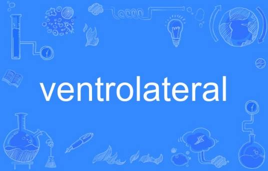 ventrolateral_百度百科