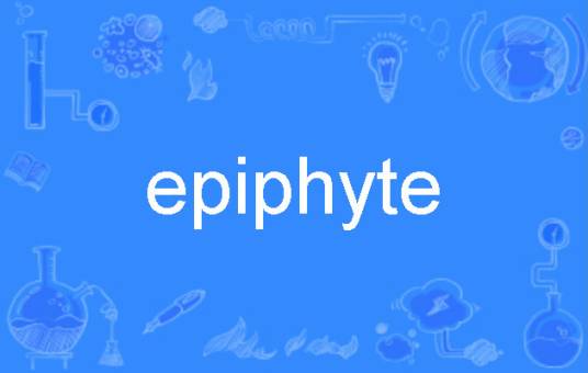 epiphyte_百度百科
