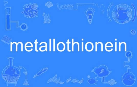 metallothionein（英语单词）_百度百科