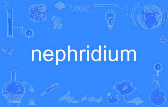 nephridium_百度百科