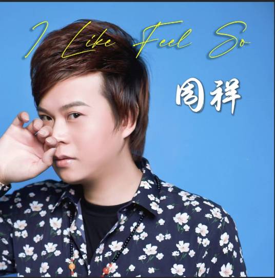 I Like Fool So_百度百科