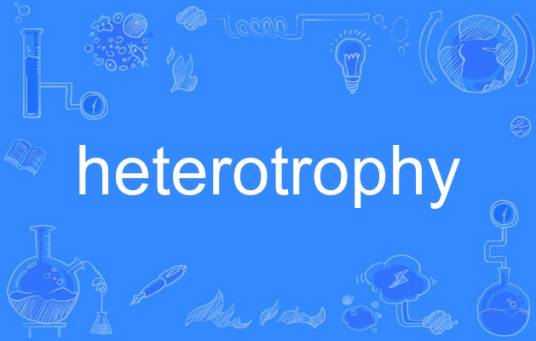 heterotrophy_百度百科
