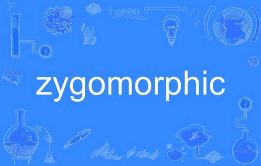 zygomorphic_百度百科