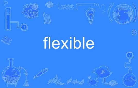 flexible（英语单词）_百度百科