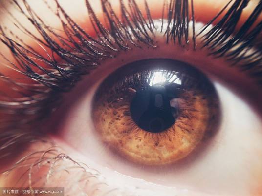 Brown Eyes（美国俚语）_百度百科