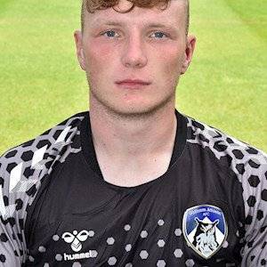 Ellis Allen_百度百科