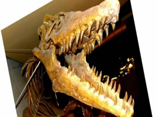 邱氏滤齿翼龙_百度百科