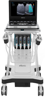 ESI（品牌）_百度百科