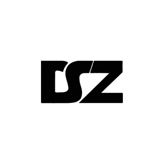 DSZ_百度百科