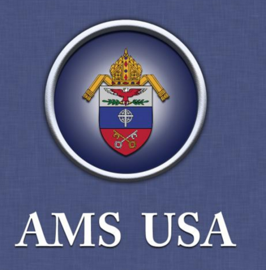 AMS（甲基苯乙烯的低聚物）_百度百科