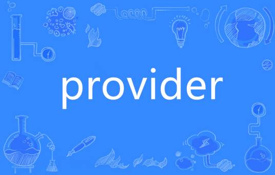 provider（英语单词）_百度百科