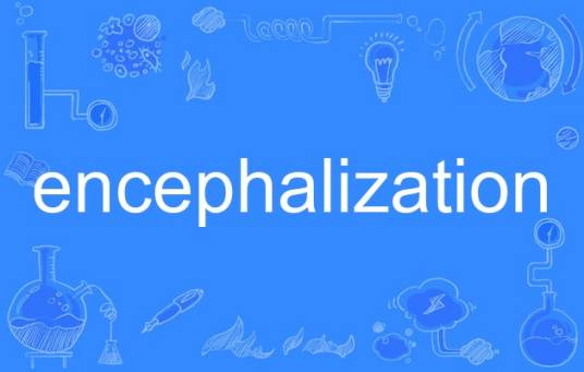 encephalization_百度百科