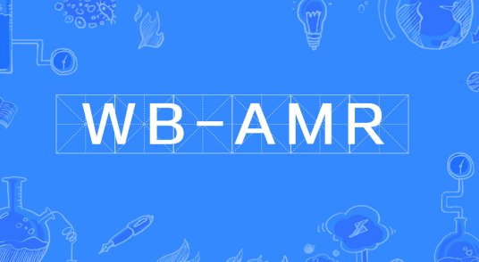 WB-AMR_百度百科