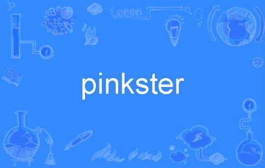 pinkster_百度百科