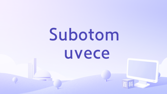 Subotom uvece_百度百科