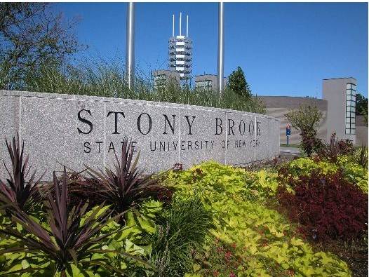 STONY BROOK_百度百科