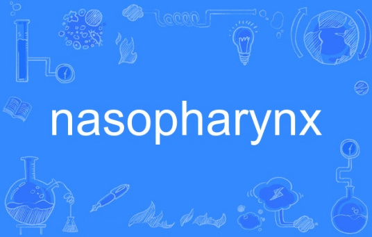 nasopharynx（英语单词）_百度百科