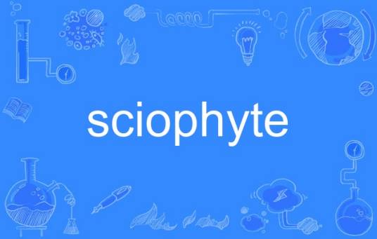sciophyte（英语单词）_百度百科