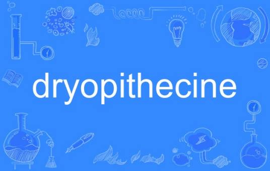 dryopithecine_百度百科