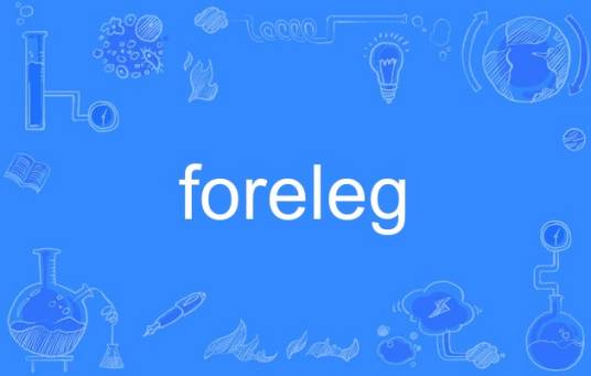 foreleg_百度百科