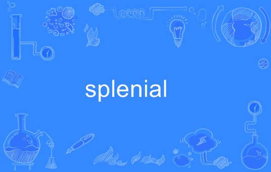 splenial_百度百科