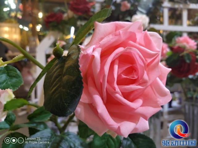 骁龙730 1899元 到底值不值得入手？联想Z6全面评测_百科TA说