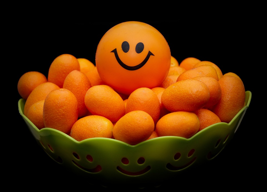 每日一花3.17：金橘：霜枝摇落黄金弹_百科TA说