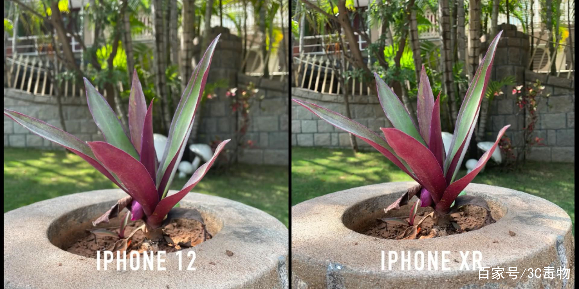 iPhone12和iPhoneXR拍照对比：差价2300元，效果差多少_百科TA说