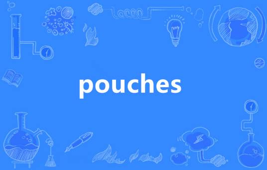 pouches_百度百科