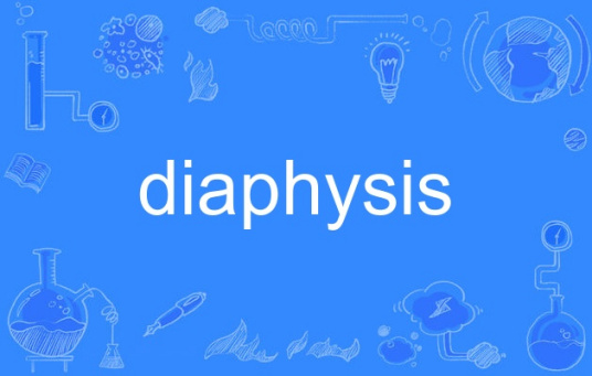 diaphysis_百度百科