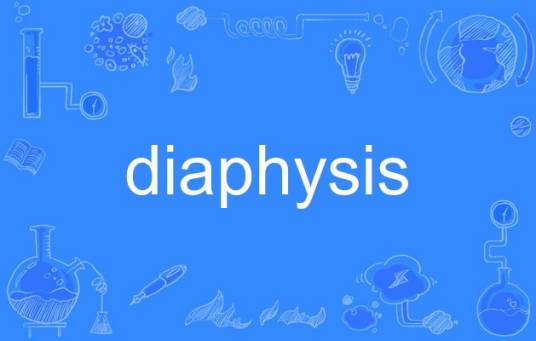 diaphysis_百度百科