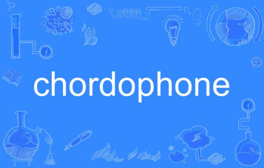 chordophone_百度百科