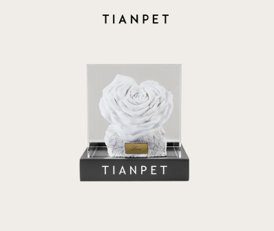TIANPET_百度百科