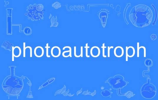 photoautotroph_百度百科