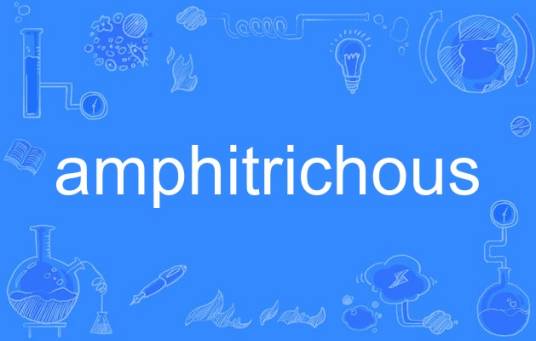 amphitrichous_百度百科