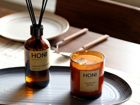 HONI EXPERIENCE_百度百科