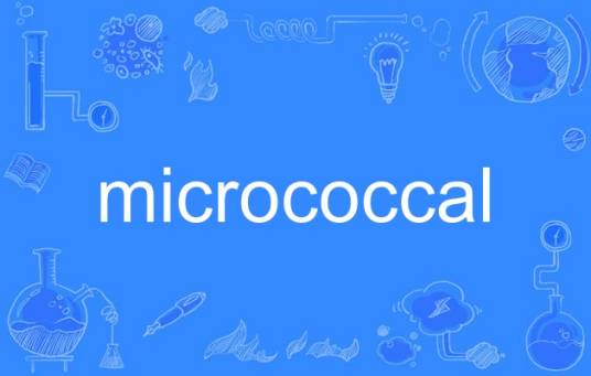 micrococcal_百度百科