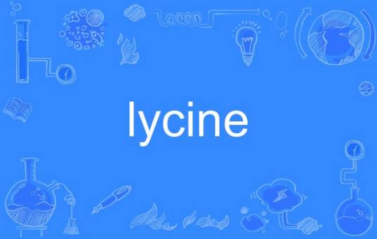 lycine_百度百科