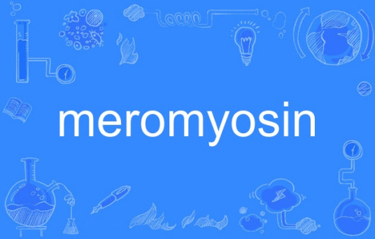 meromyosin_百度百科