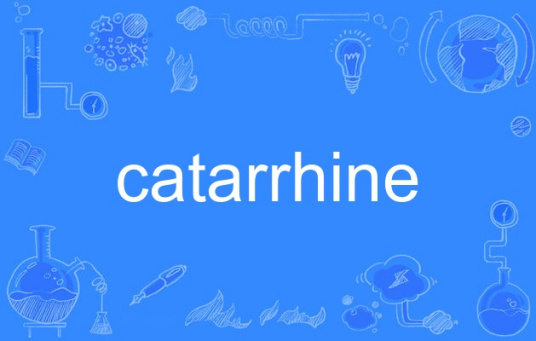 catarrhine_百度百科