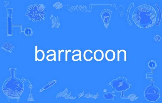 barracoon_百度百科