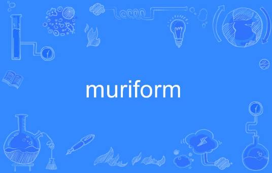 muriform_百度百科