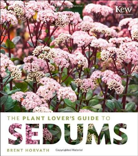 The Plant Lover's Guide to Sedums_百度百科