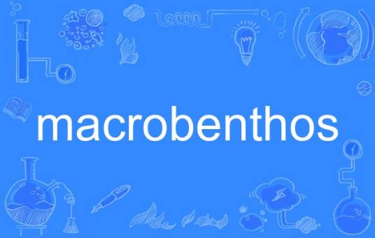 macrobenthos_百度百科