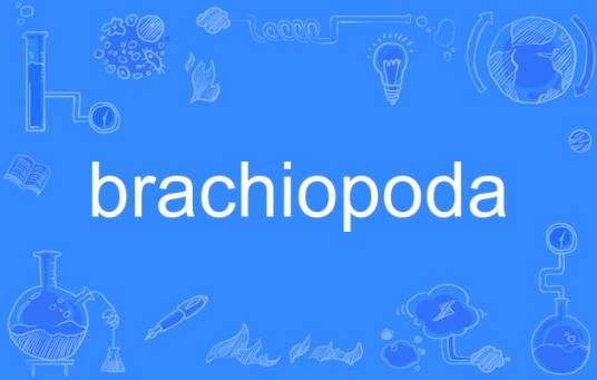 brachiopoda_百度百科