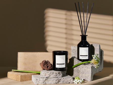 HONI EXPERIENCE_百度百科